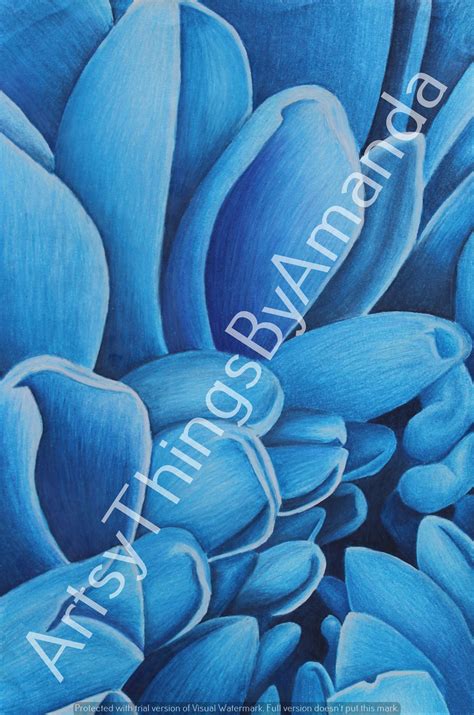 Blue Flower Drawing ~ Colored Pencil Etsy