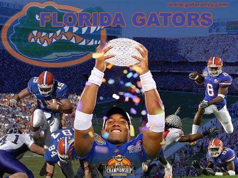 🔥 40 Gator Football Wallpapers For Desktop Wallpapersafari
