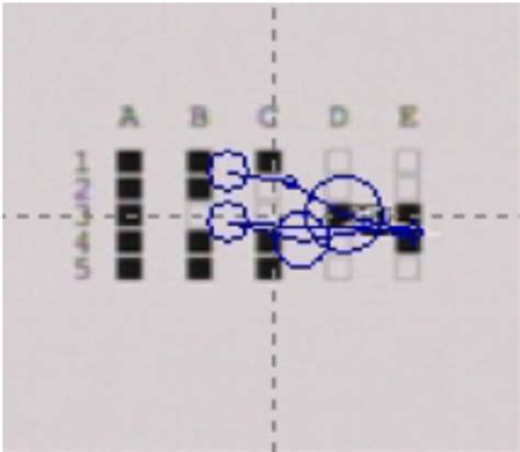 Typical Fixation Patterns Observed In The Experiment Download Scientific Diagram