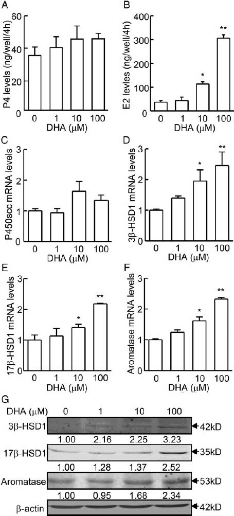Induction Of Steroidogenesis By Dehydroascorbic Acid Dha In Jar