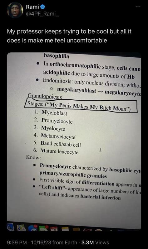 My Penis Makes My Bitch Moan Rwildposting