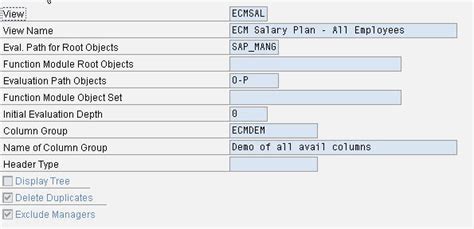 SAP Help By Kevin Configure ECM Planning Columns In MSS