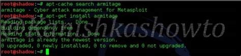 How To Configure Armitage On Kali Linux