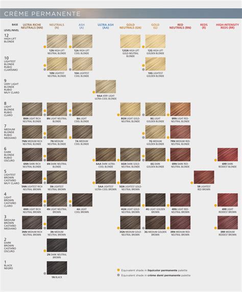 Ion Brilliance Permanent Hair Color Chart Smsrilly