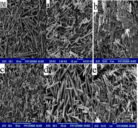 Sem Image Of Bi Mof Samples Produced Under Various Conditions Of Uaim Download Scientific