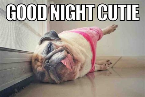 27 Best Goodnight Memes To Share Before Bedtime