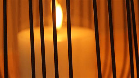 Possibility Vs Potential Whats The Difference This Vs That