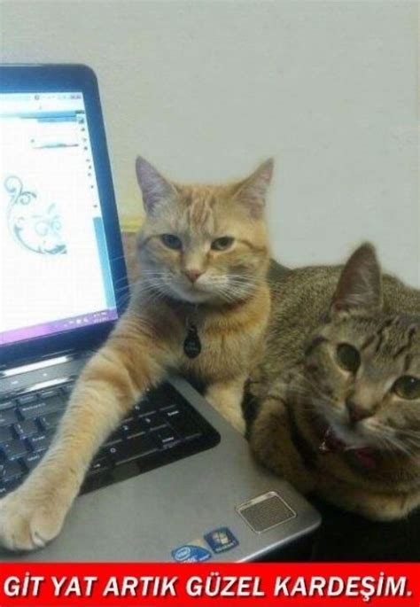 Sevgilisine Sakso Eken K Z Uluda S Zl K Galeri