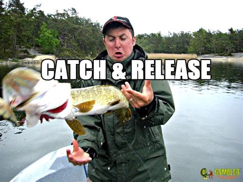 Catch Fishing Memes Funny Fishing Memes Fishing Humor