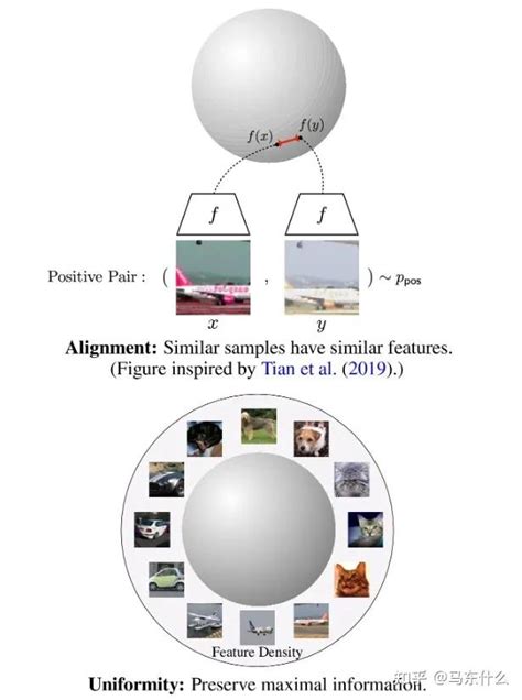 Bootstrap Your Own Latent A New Approach To Self Supervised Learning 知乎