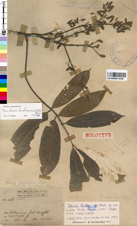 Move Your Mouse Over Image To Enlarge