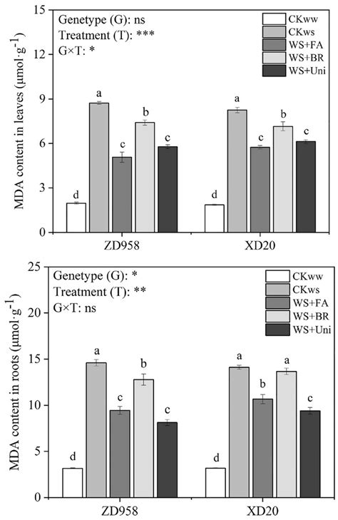 Effects Of Foliar Application Of The Plant Growth Regulators Fulvic