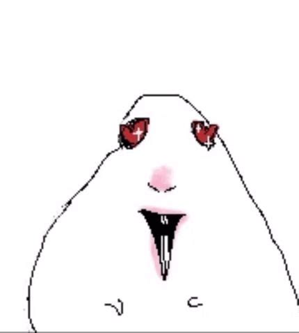 Hamster Meme Meme Hamster Meme Discover And Share S Hamster