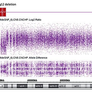High Resolution SNP Microarray Representing Both Copy Number And SNP Download Scientific