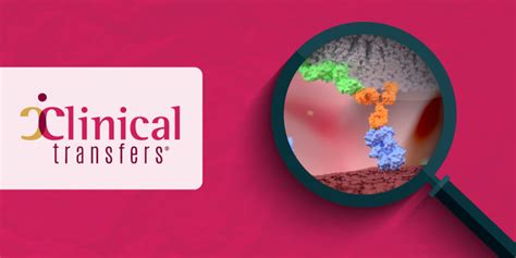 Exploring The Role Of Novel Bispecific Antibodies In Relapsed