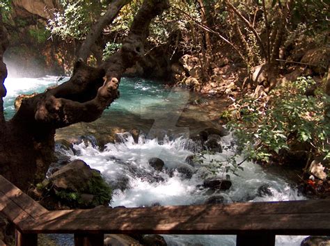 Flowing Chi By Lordluciusdagon On Deviantart