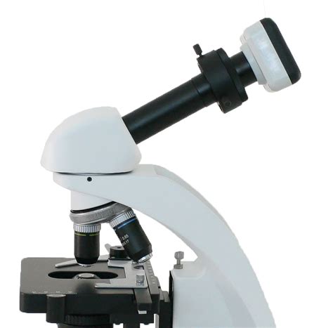 How To Mount A Microscope Camera Over The Eyepiece Swift Microscope World