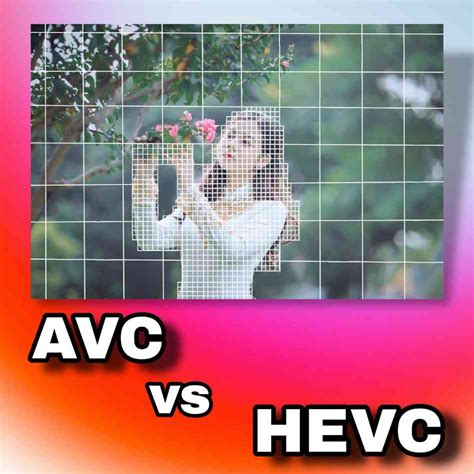 Video Coding Formats Avc And Hevc Mobic Buy