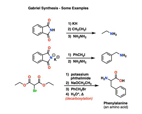In The Gabriel Synthesis Of Primary Amines