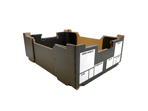 Lime Box Packaging