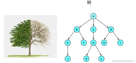 【数据结构】树和二叉树概念及其结构 csdn博客