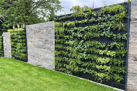 Pondo Jpornaccess Gachinco Ranko Photo Gallery My Xxx Hot Girl