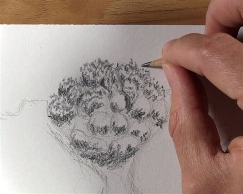 How To Draw A Tree With Leaves In A Surprisingly Familiar Way Let S Draw Today