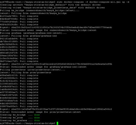 Kaspa Stratum Bridge Installation For Ubuntu 20 04
