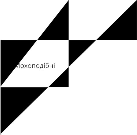 Біологія 7 клас НУШ Практична робота Порівняння будови різних представників вищих спорових рослин