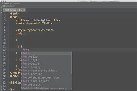 grundlagen tutorial html css und javascript