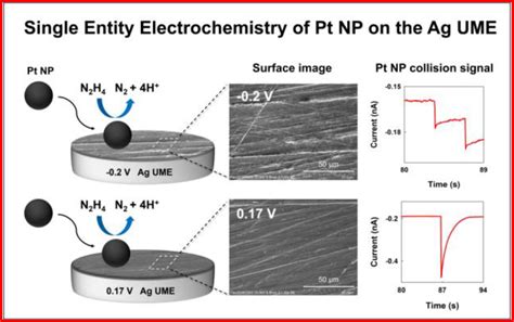 Bulletin Of The Korean Chemical Society Vol 45 No 11