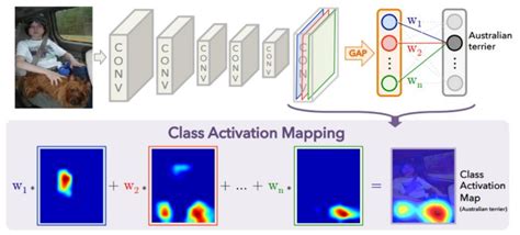 class activation map towards data science
