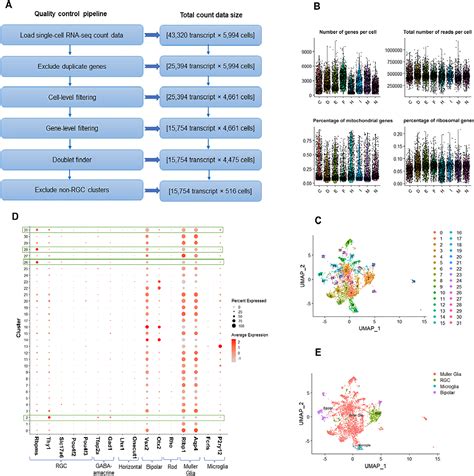 Figure 2 From A Computational Pipeline To Control The Quality And Reduce Contamination In Single