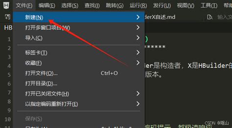 Hbuilderx安装并运行一个项目（完整版）hbuilderx 运行项目 Csdn博客