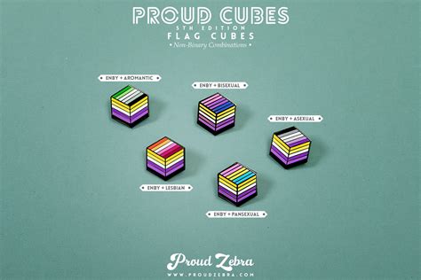 Non Binary Enby Bisexual Pride Pins Flag Love Medal Asexual Trans Abrosexual Flag Genderqueer