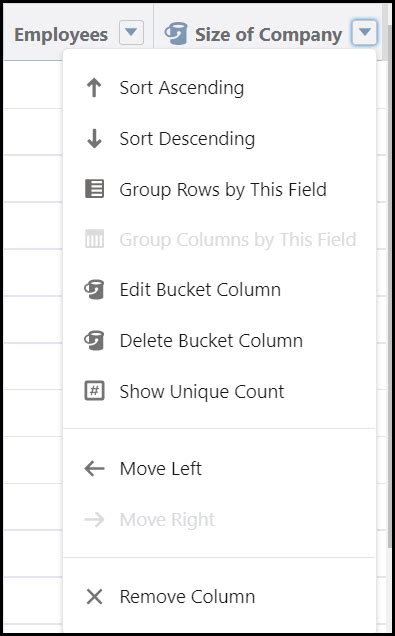How To Use Salesforce Bucket Column