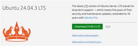 Best 5 Docker Container Operating Systems In 2025 Home Lab And Enterprise Picks Virtualization