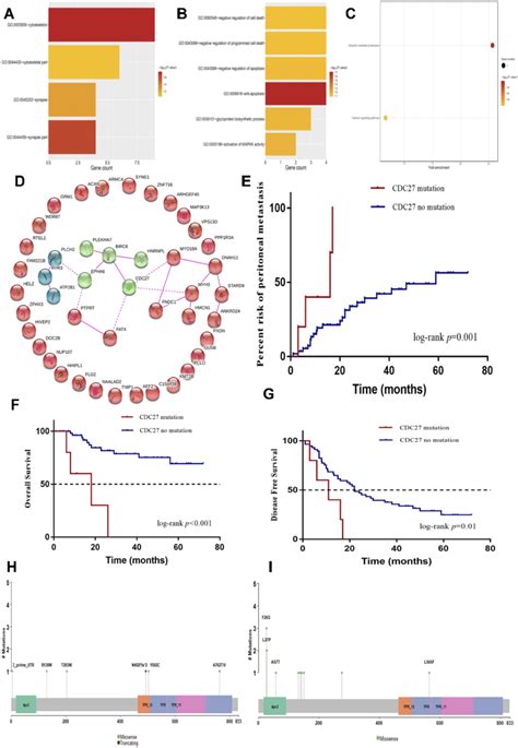 A Biological Process Go Analysis Of Differentially Mutated Genes In Download Scientific