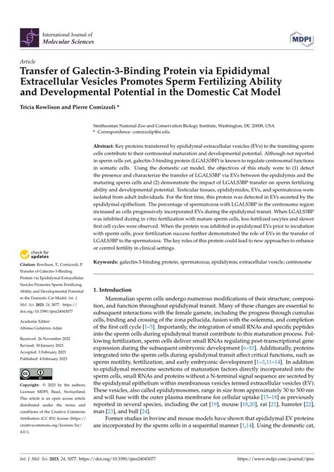 Pdf Transfer Of Galectin 3 Binding Protein Via Epididymal Extracellular Vesicles Promotes