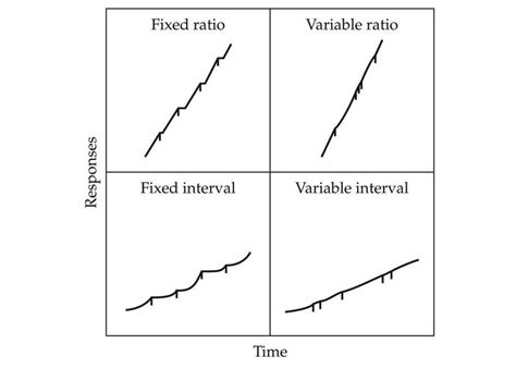 Best Example Of Variable Interval Schedule At Stephanie Post Blog