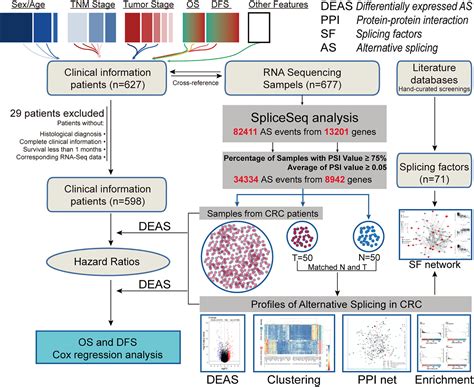 alternative splicing rna seq