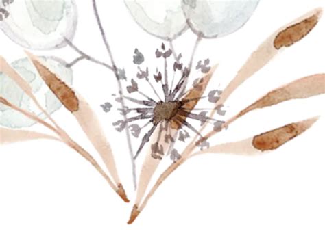 Available Puppies — Crazy Patch Ranch