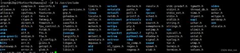 【linux】linux编译器 Gccg Andand Linux项目自动化构建工具 Makemakefilegcc和g编译软件 Csdn博客