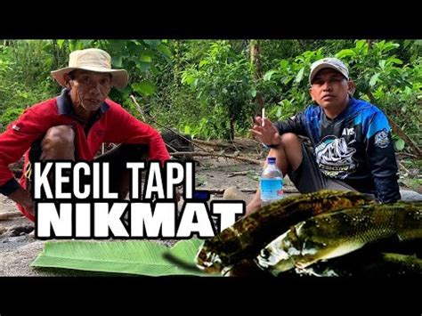 Kecil Tapi Nikmat Youtube