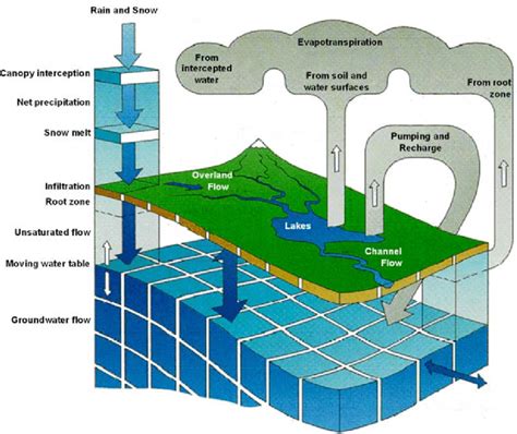1 hydrologic processes simulated by mike she download scientific diagram