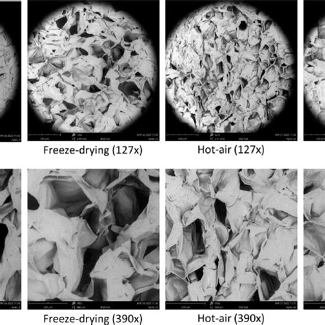 Performance Indicators For Plant Based Food Drying Methods Download