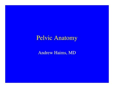 pdf pelvic anatomy lecture notes dokumen tips