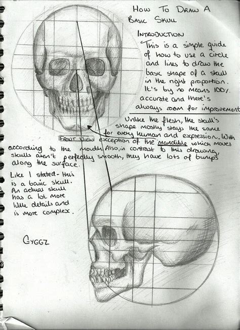 Skull Drawing Tutorial At PaintingValley Com Explore Collection Of Skull Drawing Tutorial