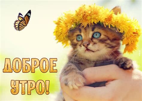 Милейшая картинка с добрым утром Скачать бесплатно на